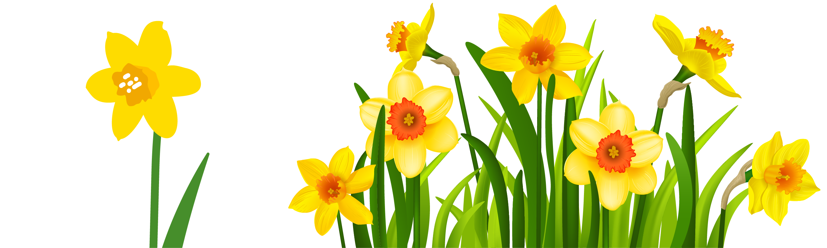 Modern Orangeries North East | Tyneside Home Improvements